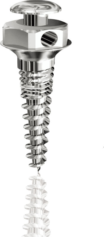 Titanium Alloy Dental Orthodontic Mini Screws 1.6x6 1.6x8 1.6x10 1.6x12 ...