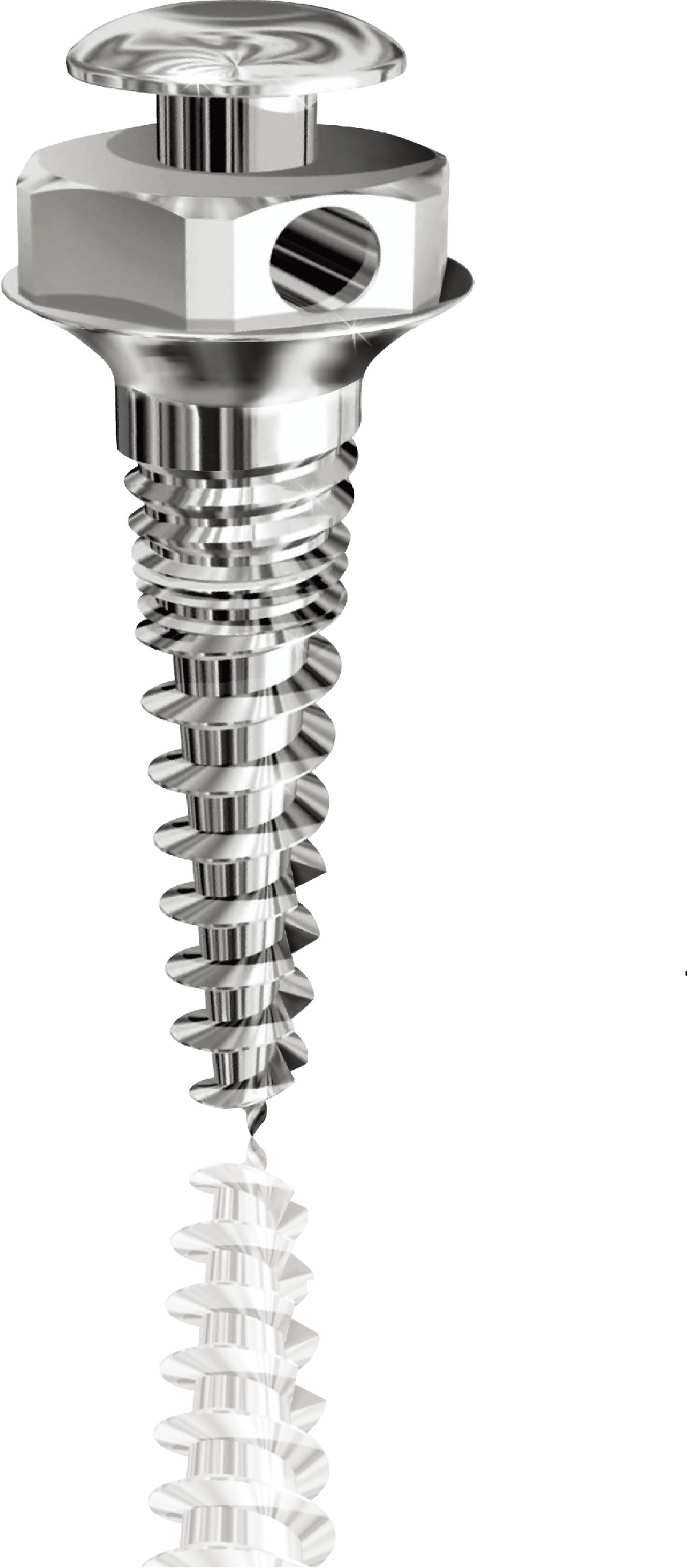 Titanium Alloy Dental Orthodontic Mini Screws 1.6x6 1.6x8 1.6x10 1.6x12 ...